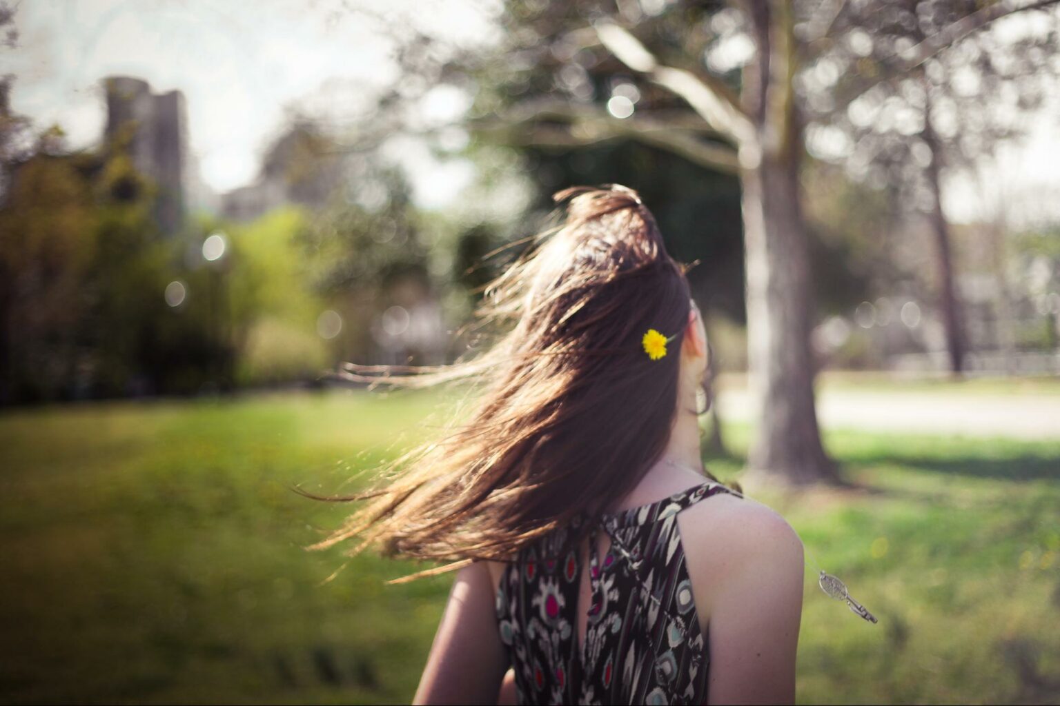 A Letter to Mother with the Long Hair by Jen Machajewski | Hippocampus ...